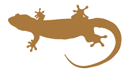 Cold Blooded Cafe: Other Feeders