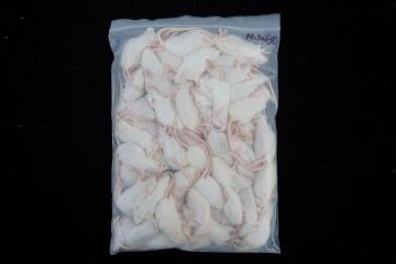 Frozen Feeder Mice for Snakes/Reptiles - ColdBloodedCafe
