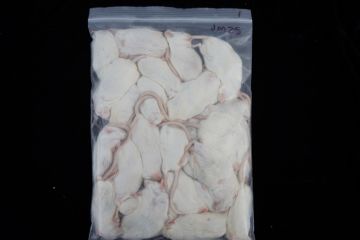 Frozen Feeder Mice for Snakes/Reptiles - ColdBloodedCafe