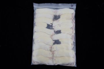 Frozen Feeder Rats for Snakes/Reptiles - ColdBloodedCafe