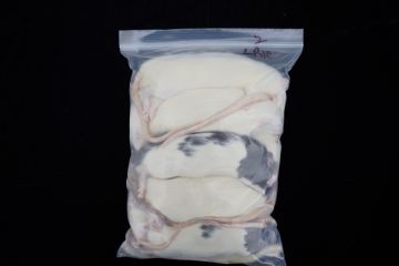 Frozen Feeder Rats for Snakes/Reptiles - ColdBloodedCafe