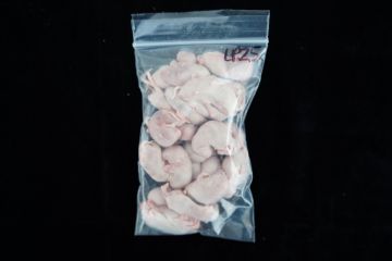 Frozen Feeder Mice for Snakes/Reptiles - ColdBloodedCafe