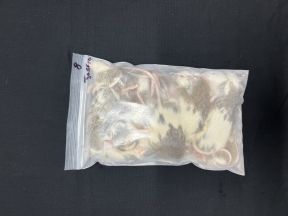 Cold Blooded Cafe: Small ASF 10ct