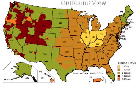 Cold Blooded Cafe: Shipping and Return Policy